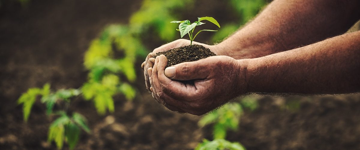 Environment safety courses | eoshuk